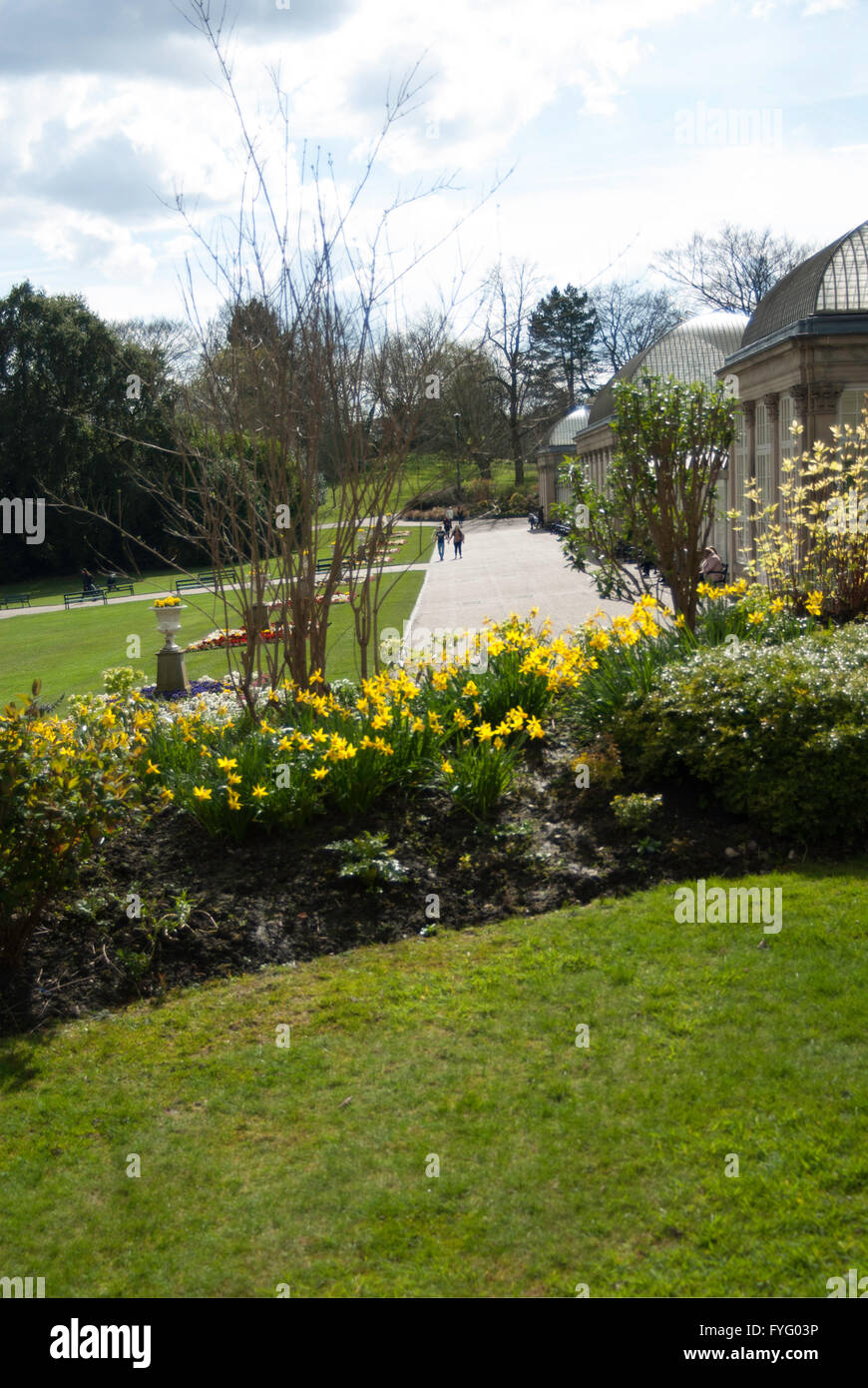 Editorial image of the Botanical Gardens in Sheffield showing Spring ...