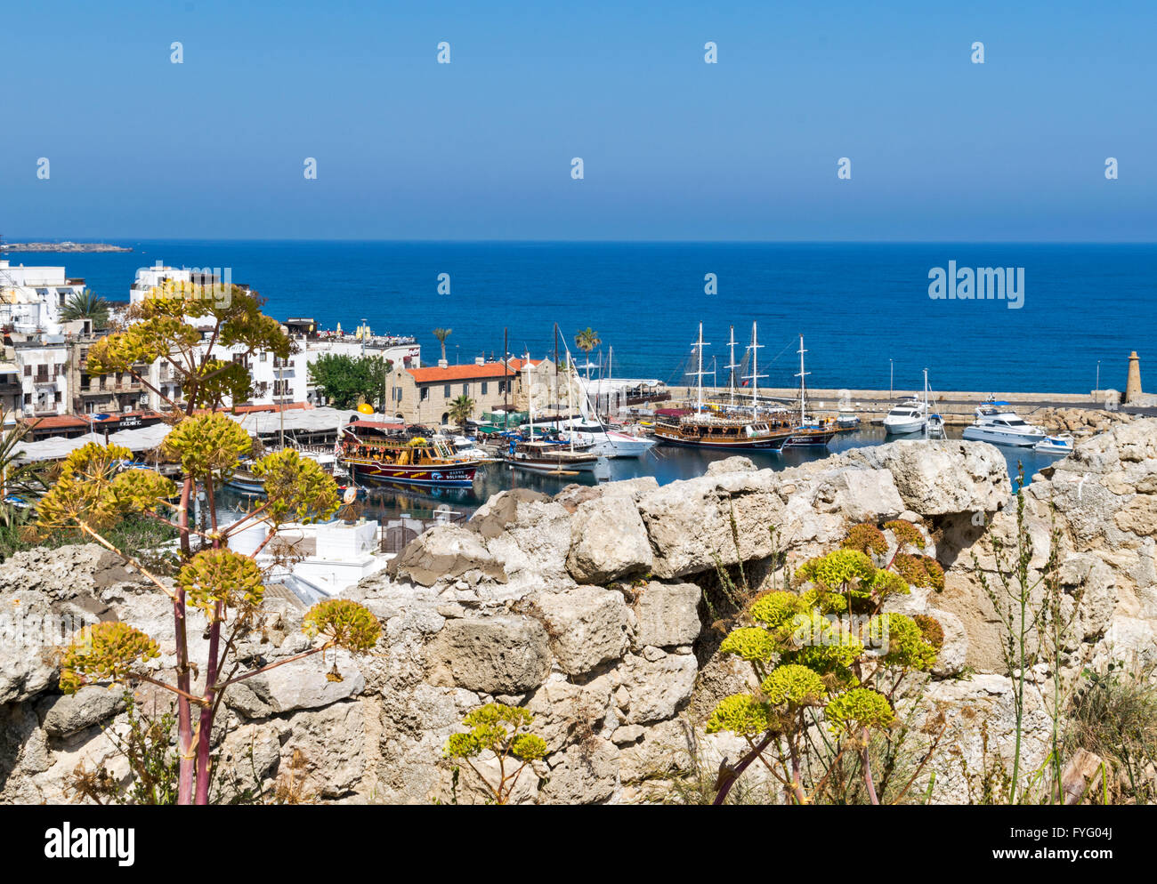 Plant growing from castle wall hi-res stock photography and images - Alamy