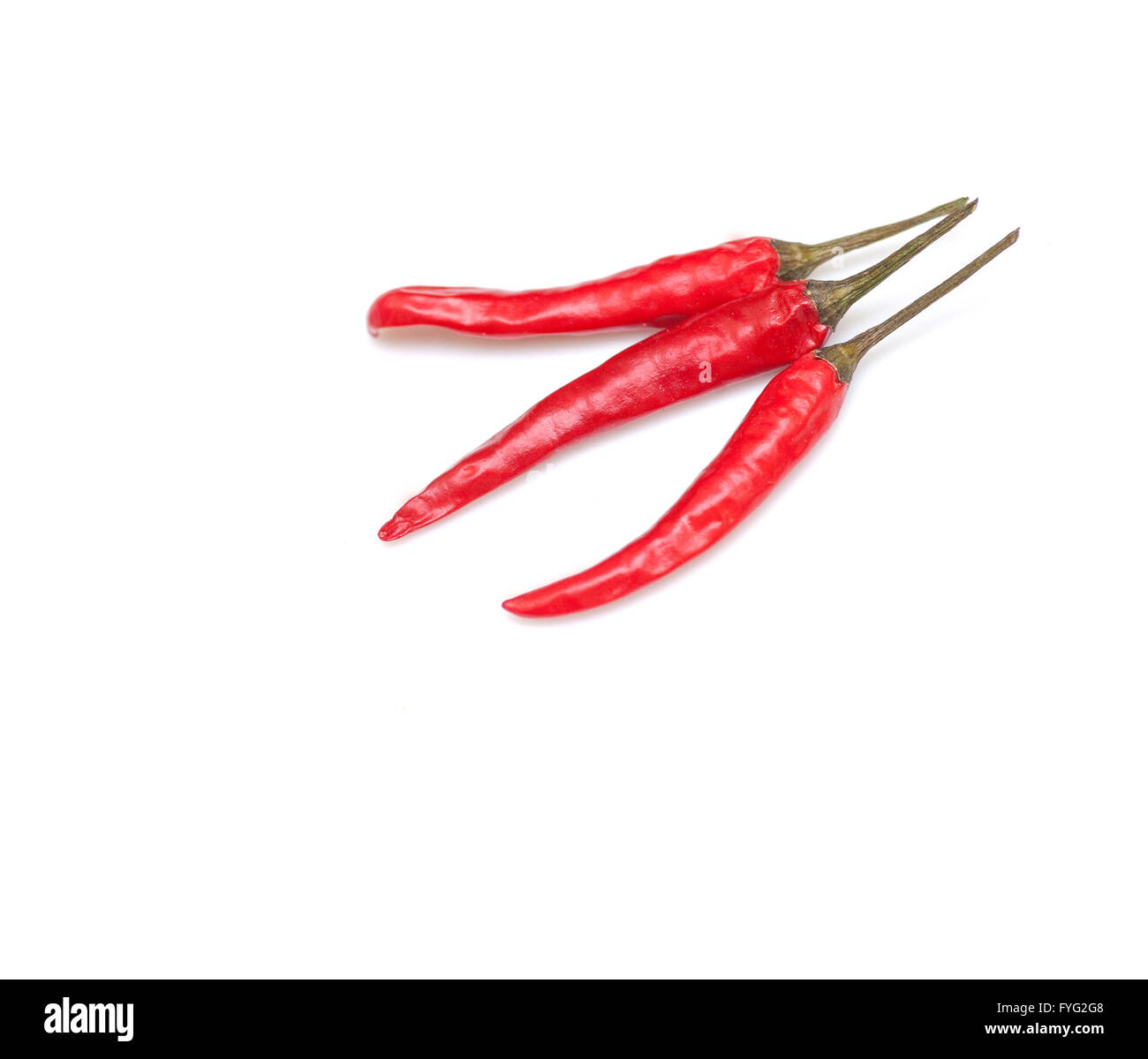 tree red chilli pepper isolated on the light gray Stock Photo - Alamy