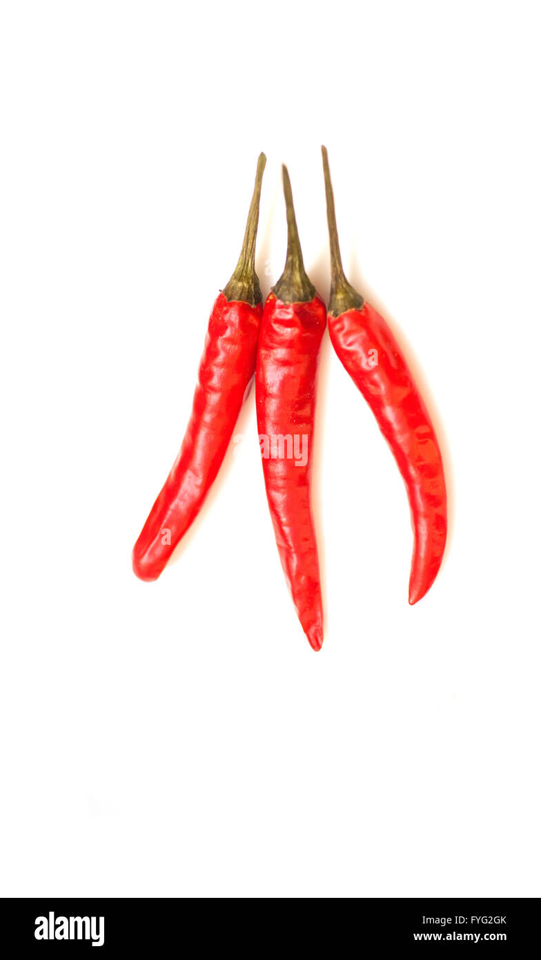 Red chilli tree hi-res stock photography and images - Alamy