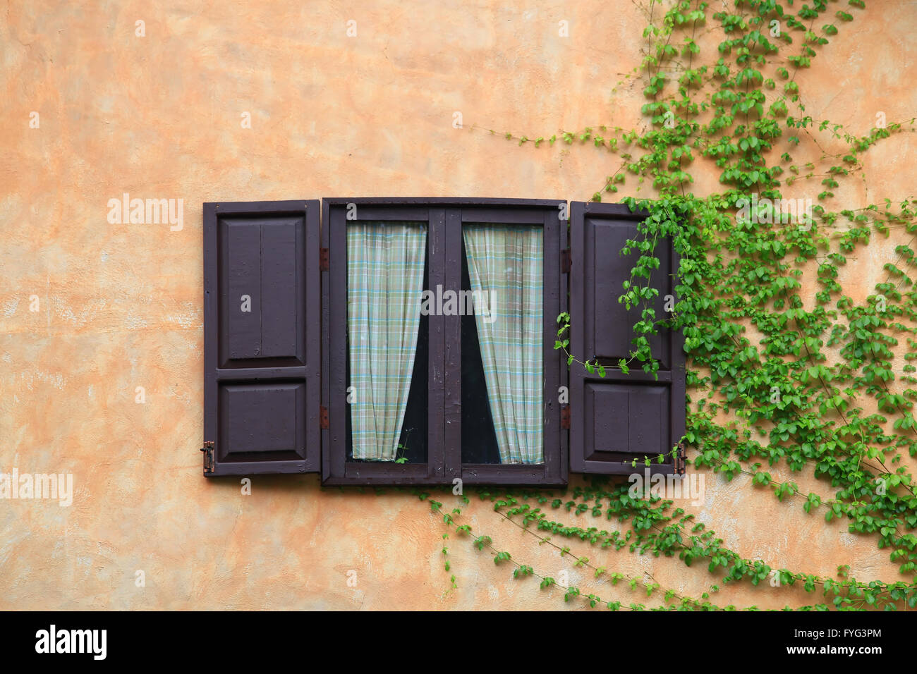 Open Wooden windows in Italian style on yellow building with plant ...