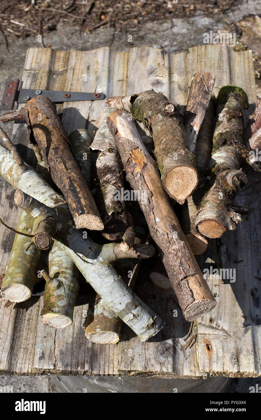 Chopped wooden logs for burning Stock Photo - Alamy