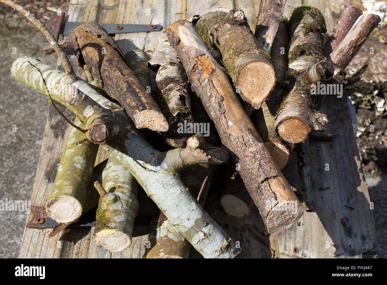 Chopped wooden logs for burning Stock Photo - Alamy