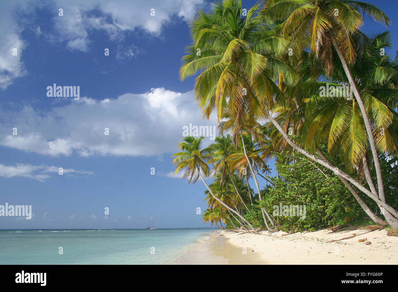A scenic view of the tropical island - Holiday beach landscape Stock ...