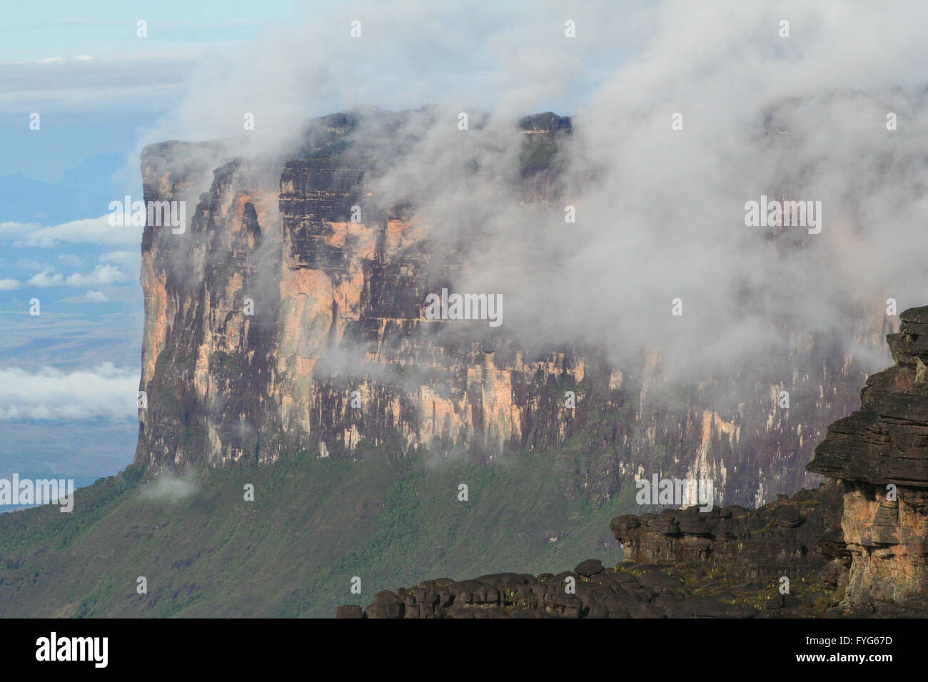 A view of the Roraima Mountain in Venezuela - Landscape Stock Photo - Alamy
