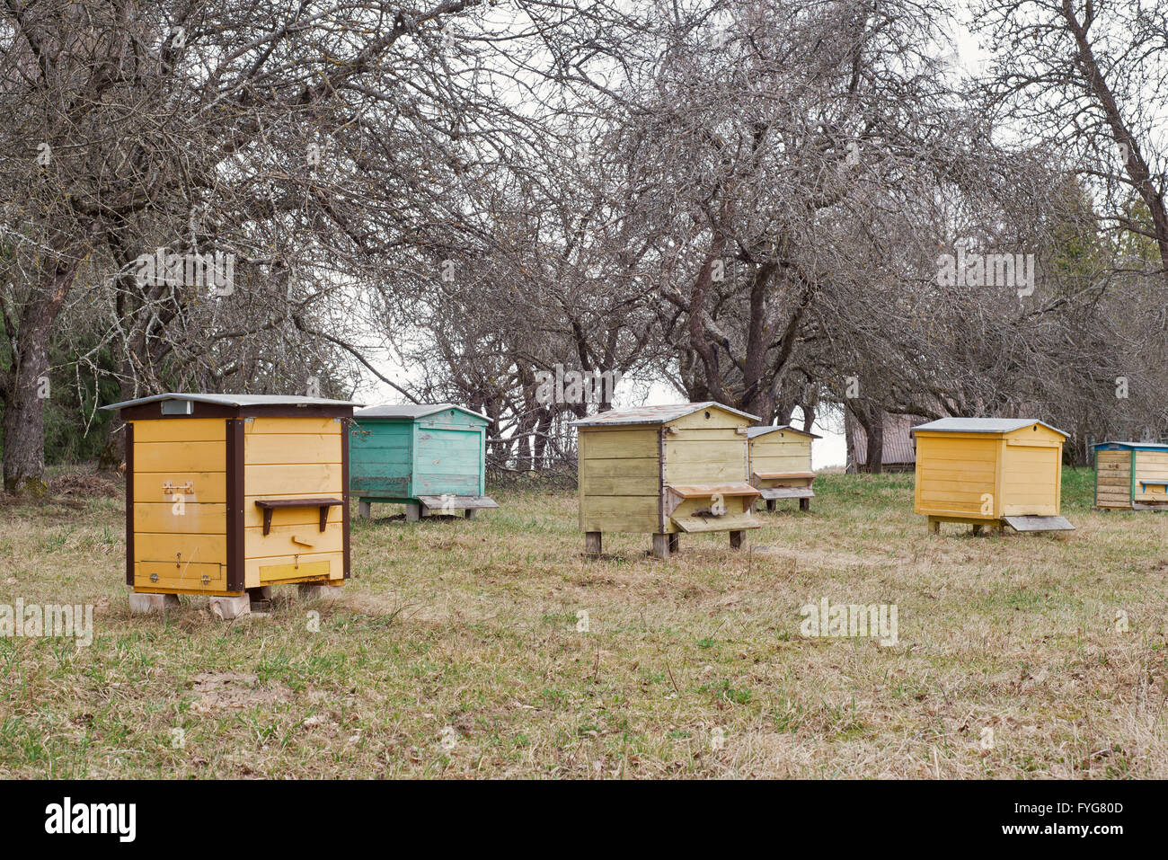 Apiary landscape wooden beehive hi-res stock photography and images - Alamy
