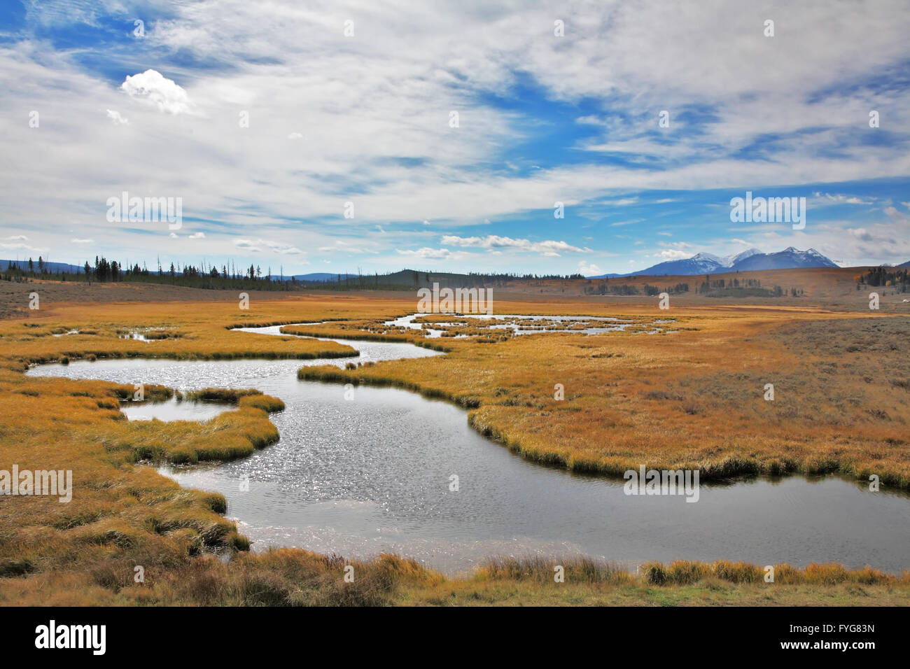 The plain and stream in Yellowstone national park Stock Photo - Alamy