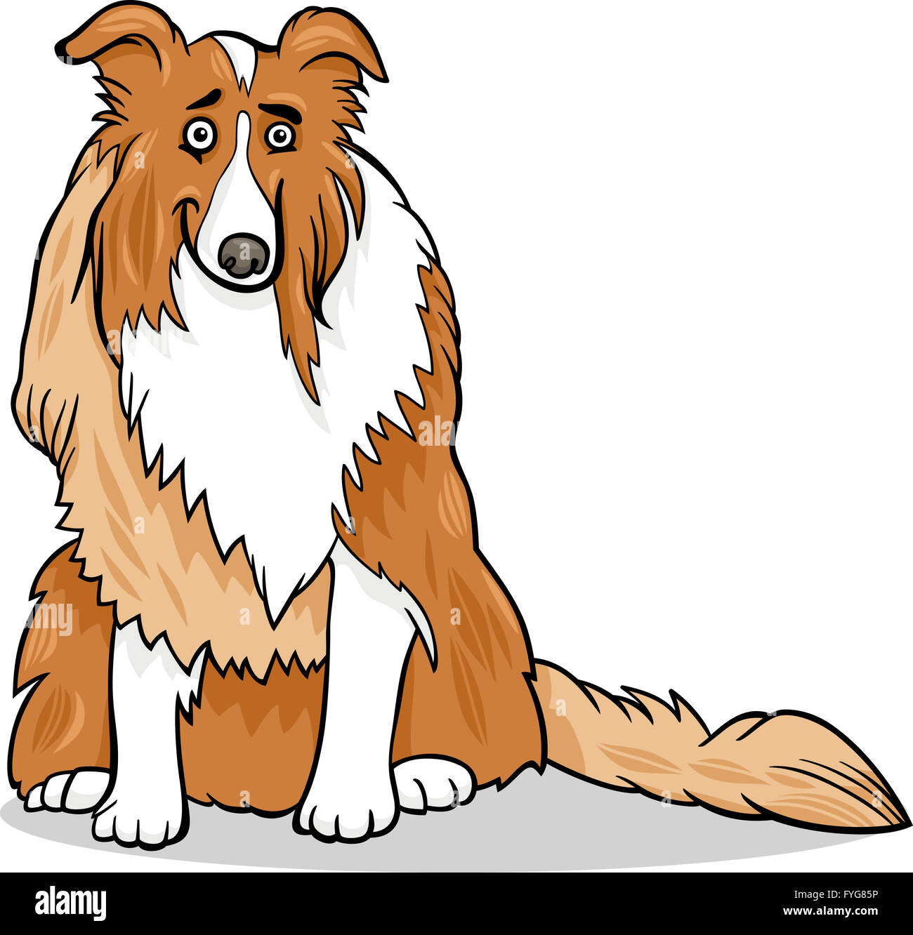 collie purebred dog cartoon illustration Stock Photo - Alamy