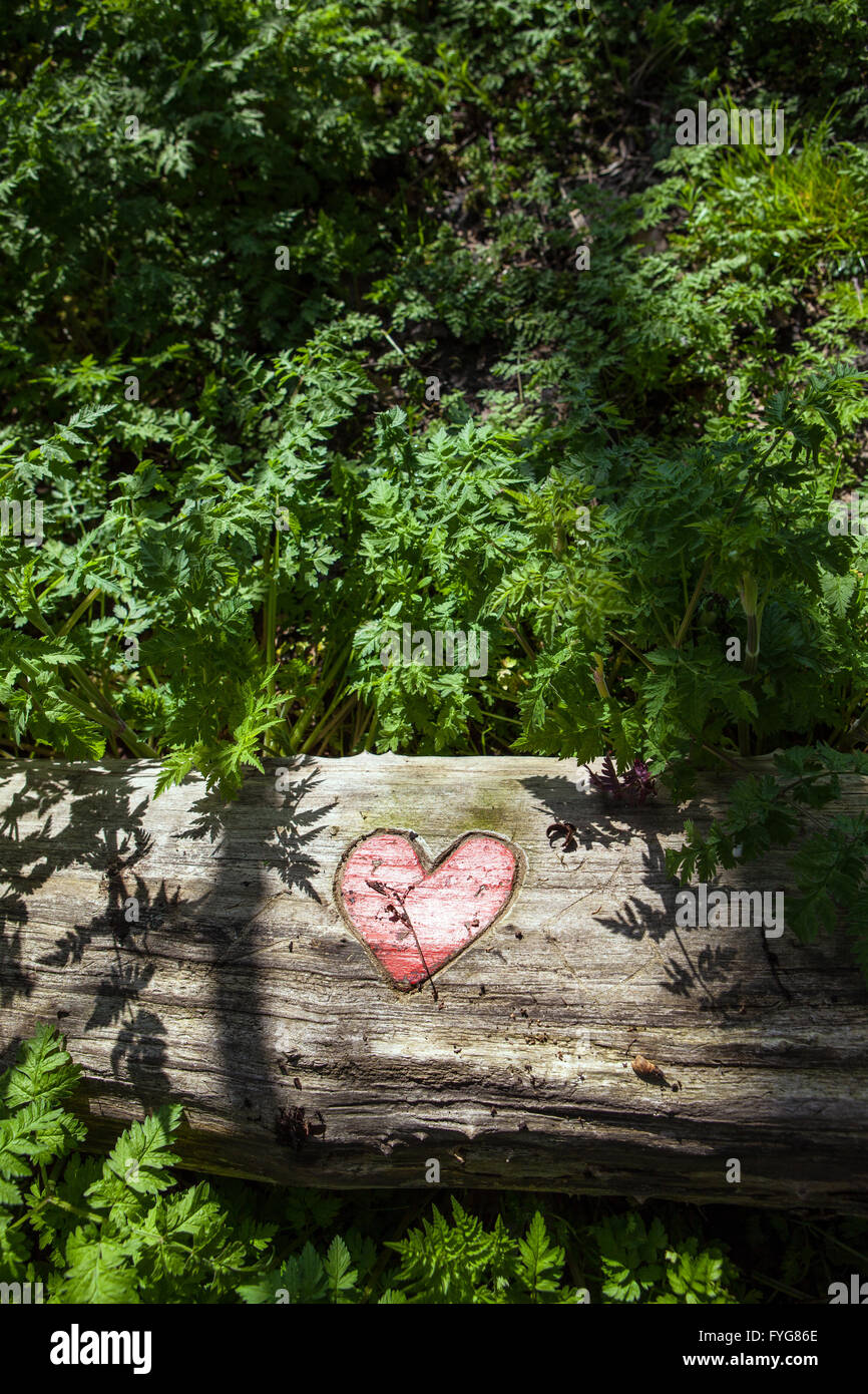 Carved log hi-res stock photography and images - Alamy