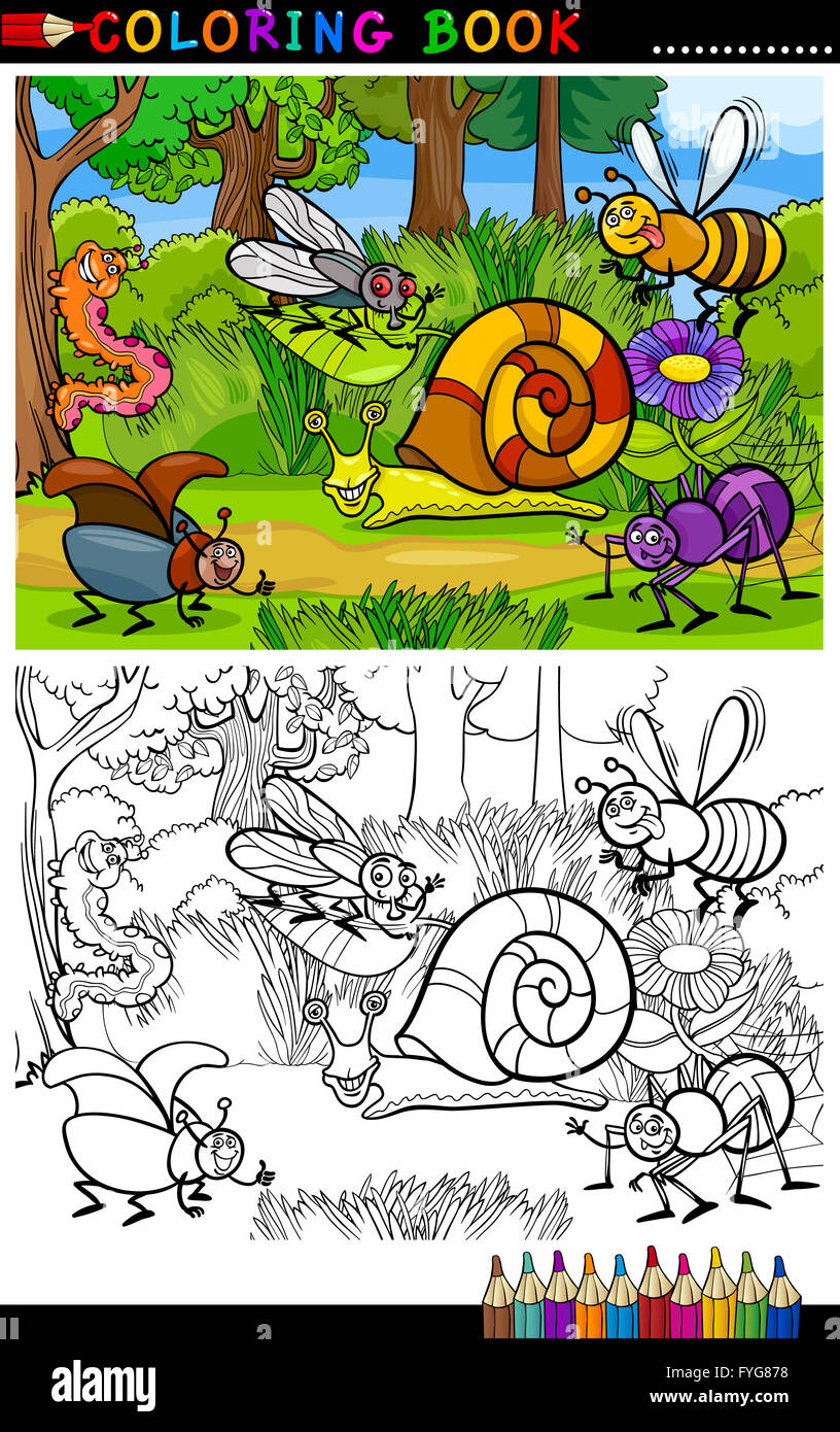 Cartoon insects bugs coloring book hi-res stock photography and images ...