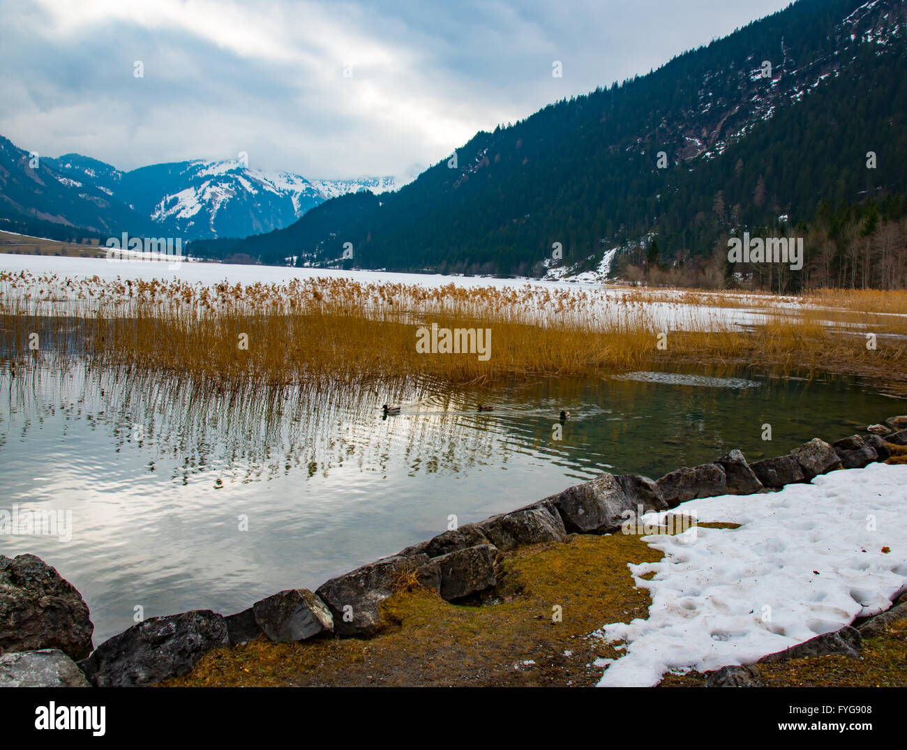 winter landscape with lake partly ice covered Stock Photo - Alamy