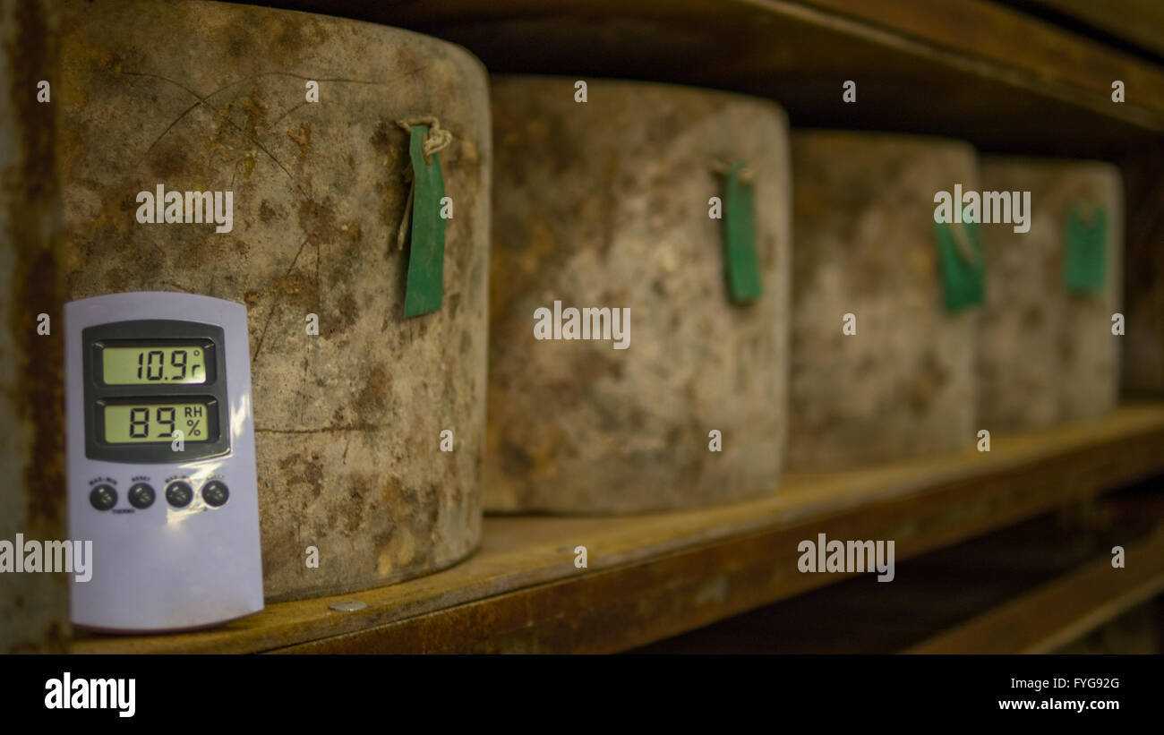 Old cheese wheel hi-res stock photography and images - Alamy