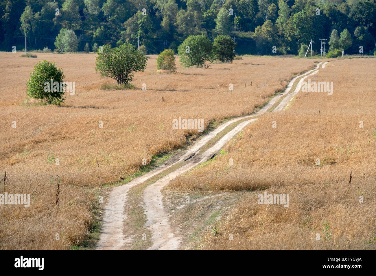 Long track through fields hi-res stock photography and images - Alamy
