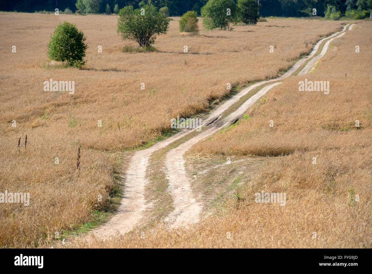 Long track through fields hi-res stock photography and images - Alamy