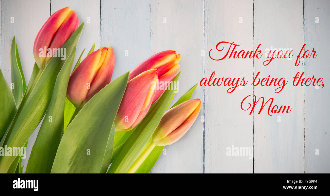 Sentence wood hi-res stock photography and images - Alamy