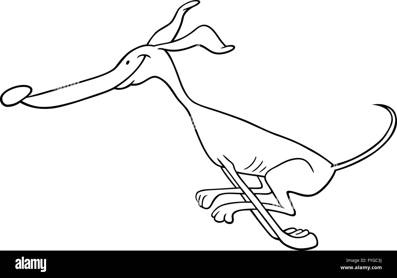 running greyhound cartoon for coloring Stock Photo - Alamy