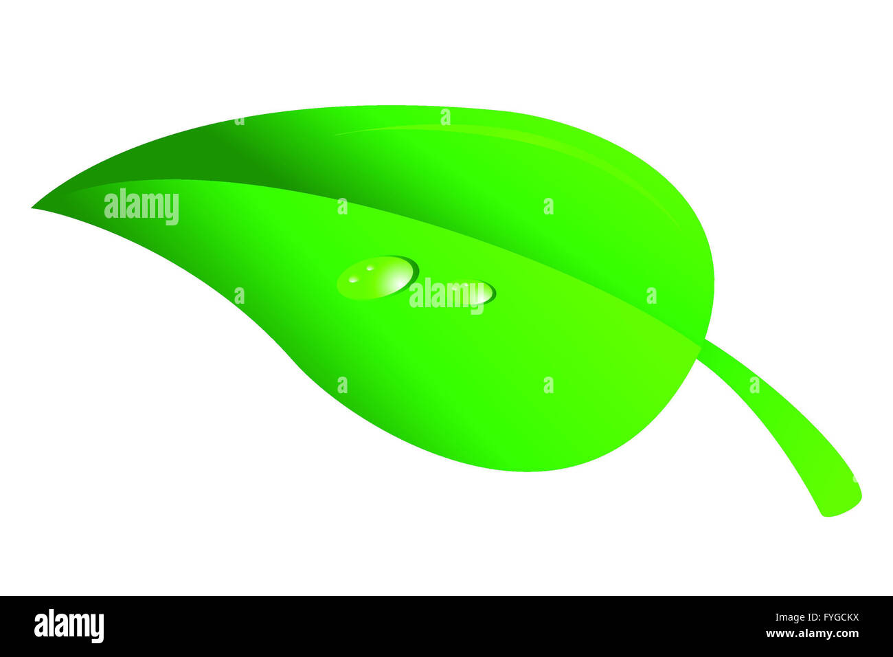 Vector illustration of single leaf icon Stock Photo - Alamy