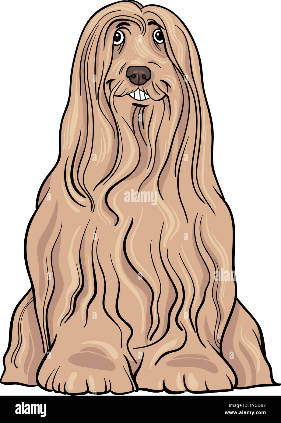 Bearded collie dog cartoon hi-res stock photography and images - Alamy