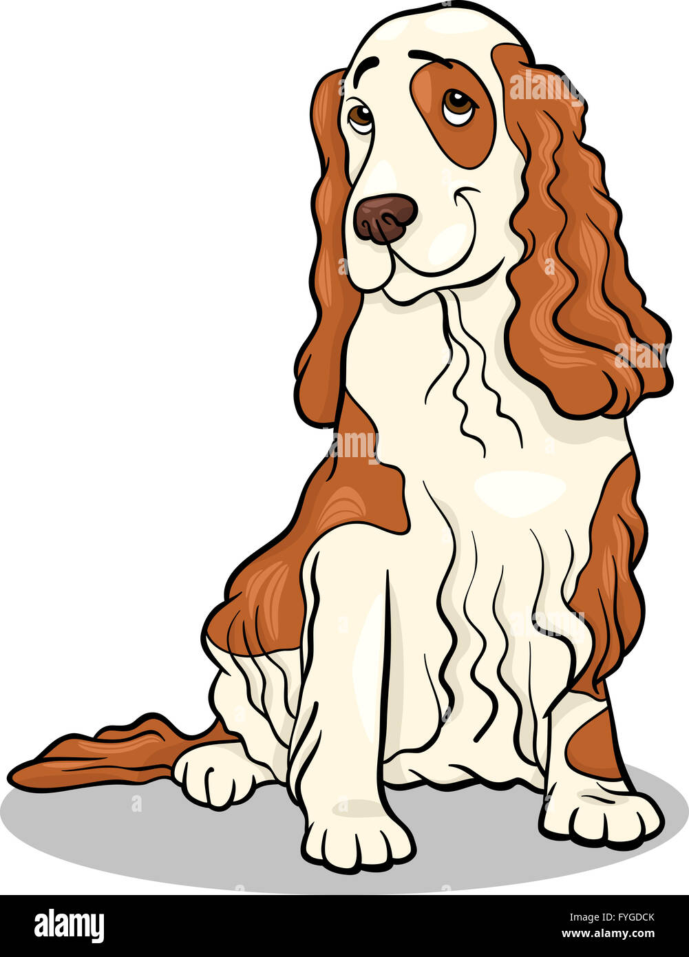 Funny Cocker Spaniel High Resolution Stock Photography and Images - Alamy