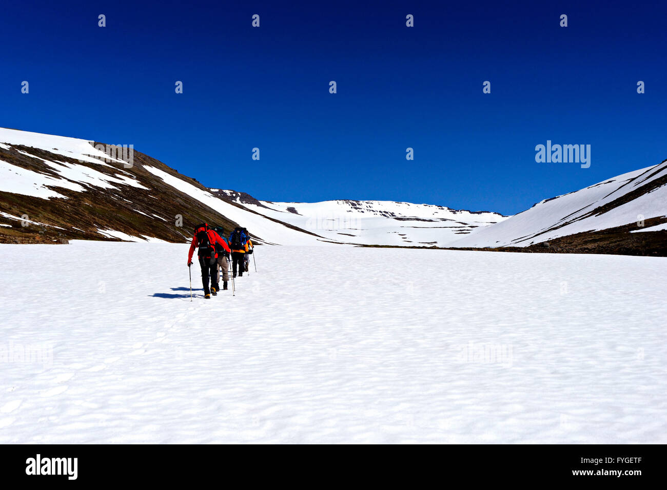 Hikers trekking through snow on the, Westfjords, Iceland., Europe Stock ...