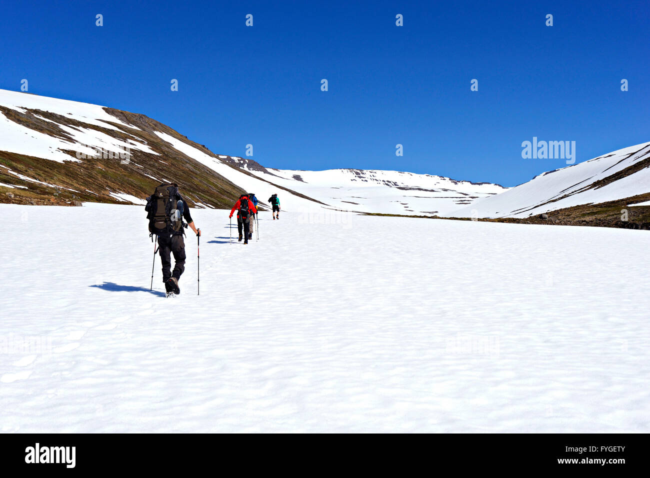 Hikers trekking through snow on the, Westfjords, Iceland., Europe Stock ...