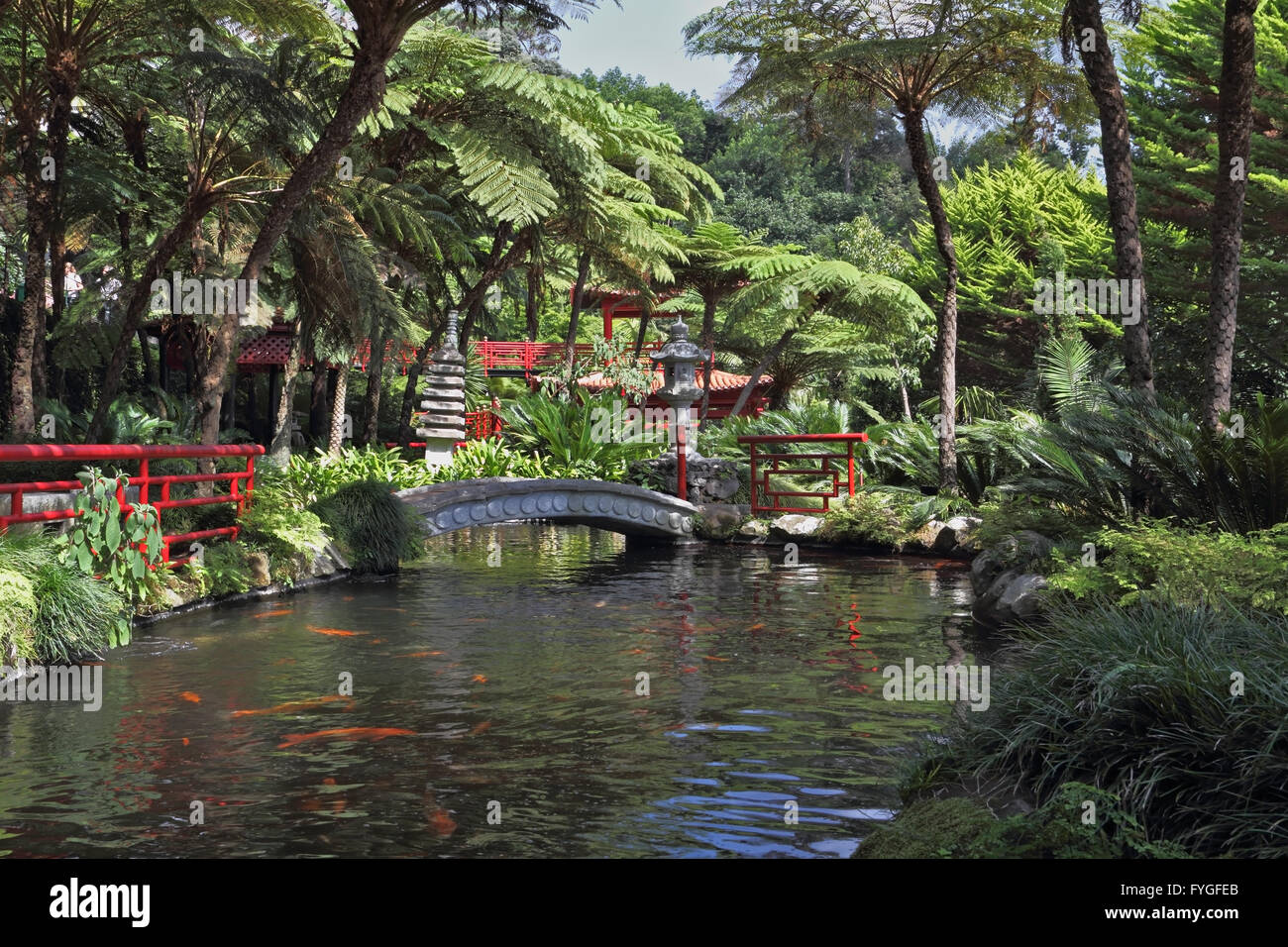 The wonderful bridge over a pond with goldfish Stock Photo - Alamy