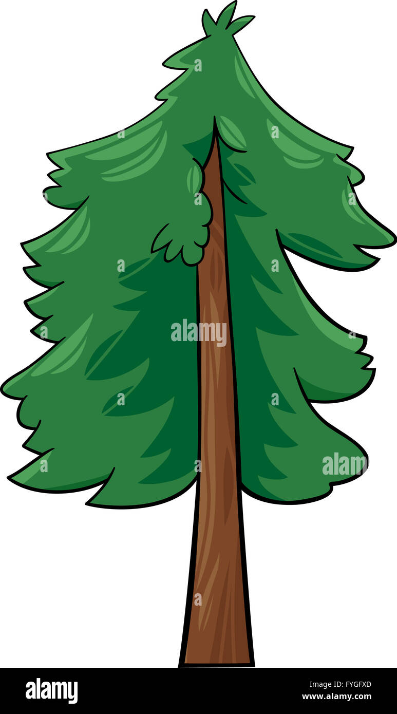 cartoon illustration of conifer tree Stock Photo - Alamy