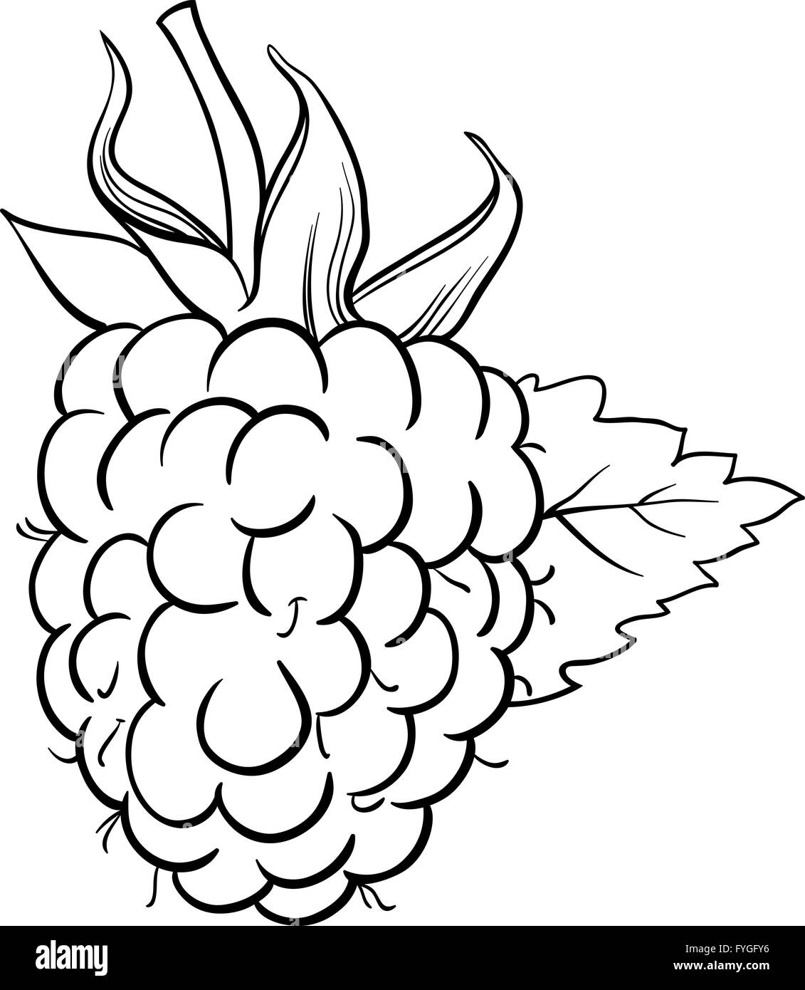 raspberry illustration for coloring book Stock Photo - Alamy
