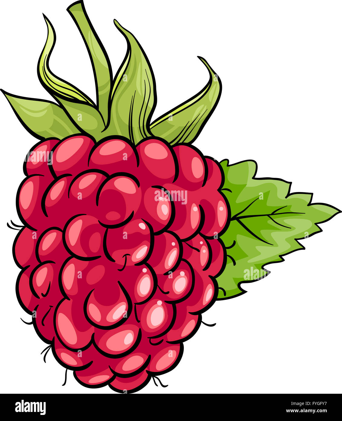 raspberry fruit cartoon illustration Stock Photo - Alamy