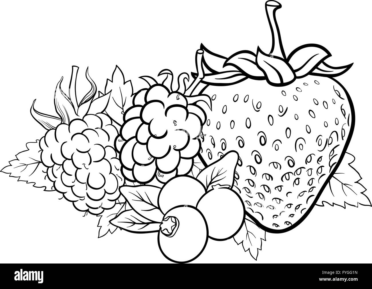 Raspberries Coloring Pages