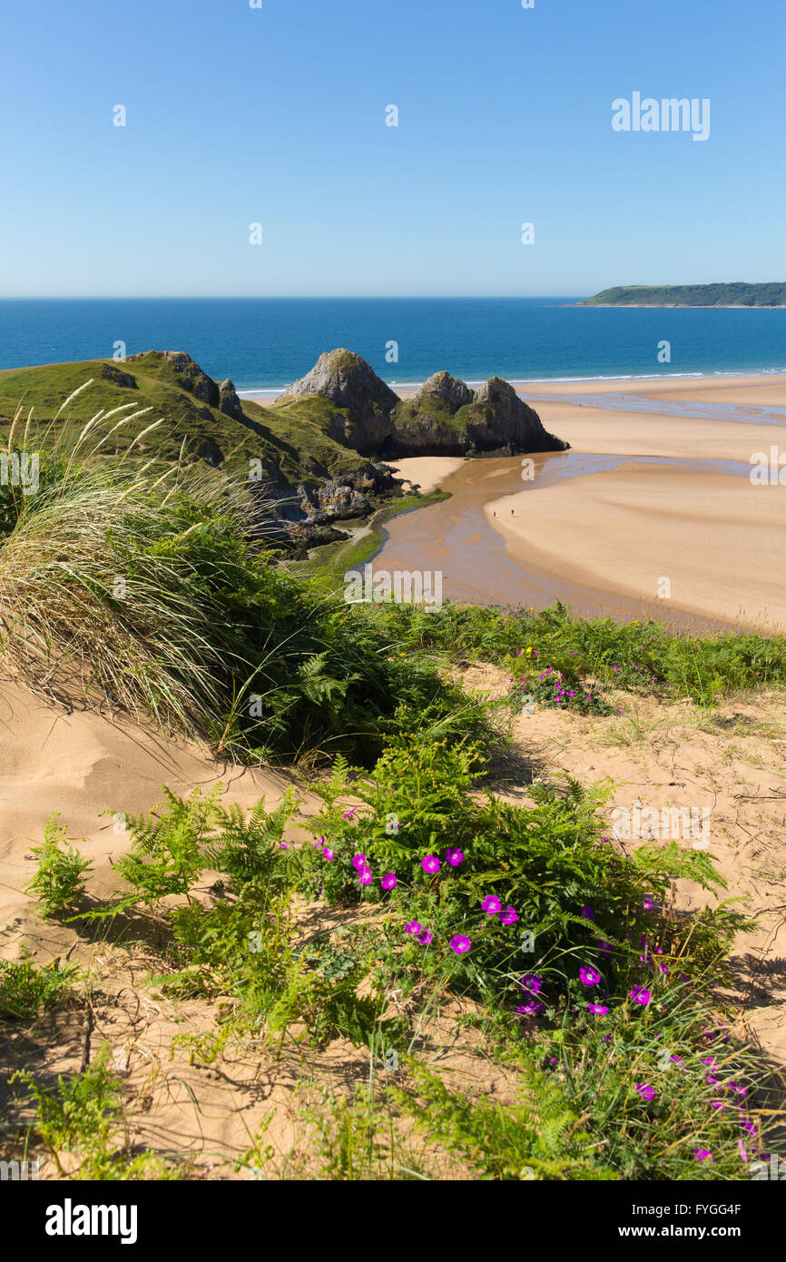 Three Cliffs Bay the Gower Wales uk beautiful part of the peninsula in ...