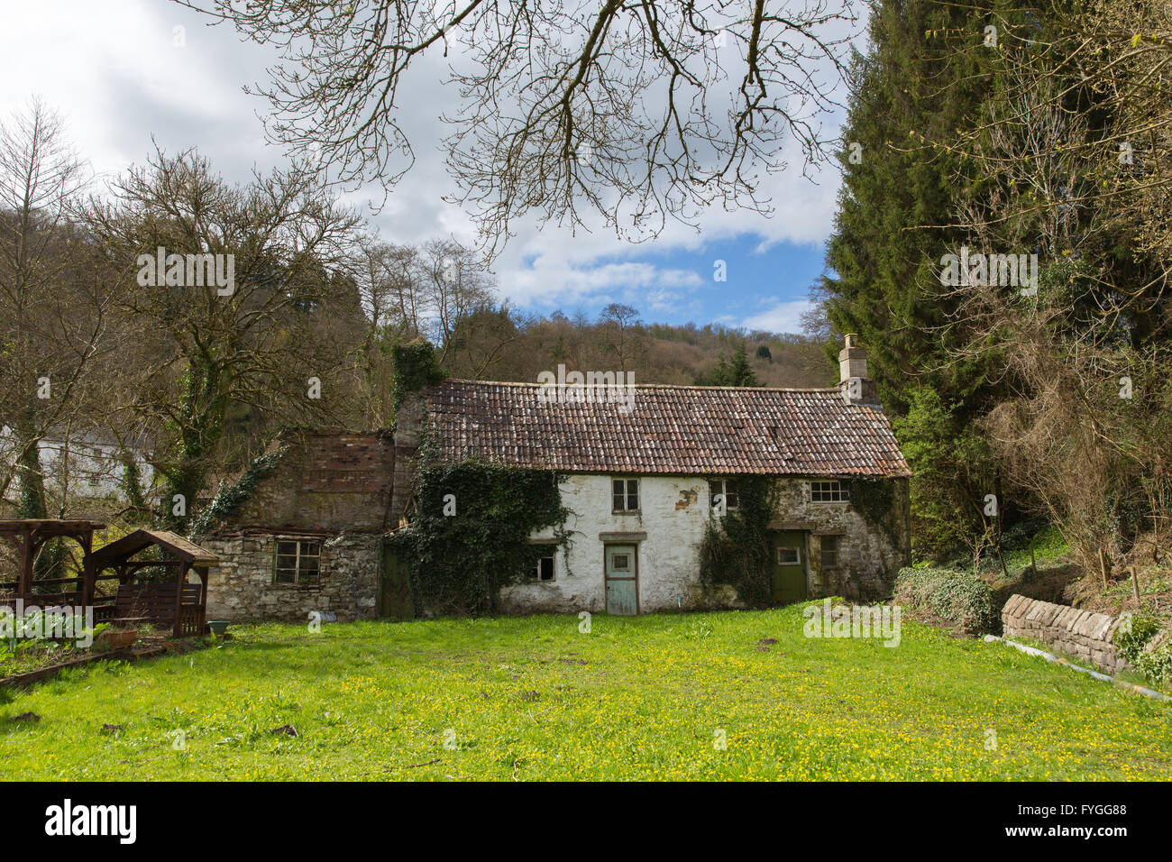 Derelict rural cottage overgrown with plants and moss and left ...