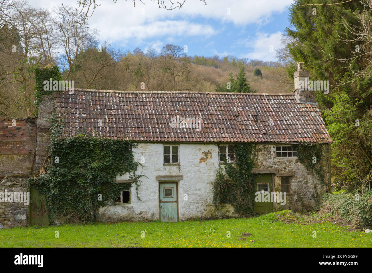Vegetation over door High Resolution Stock Photography and Images - Alamy