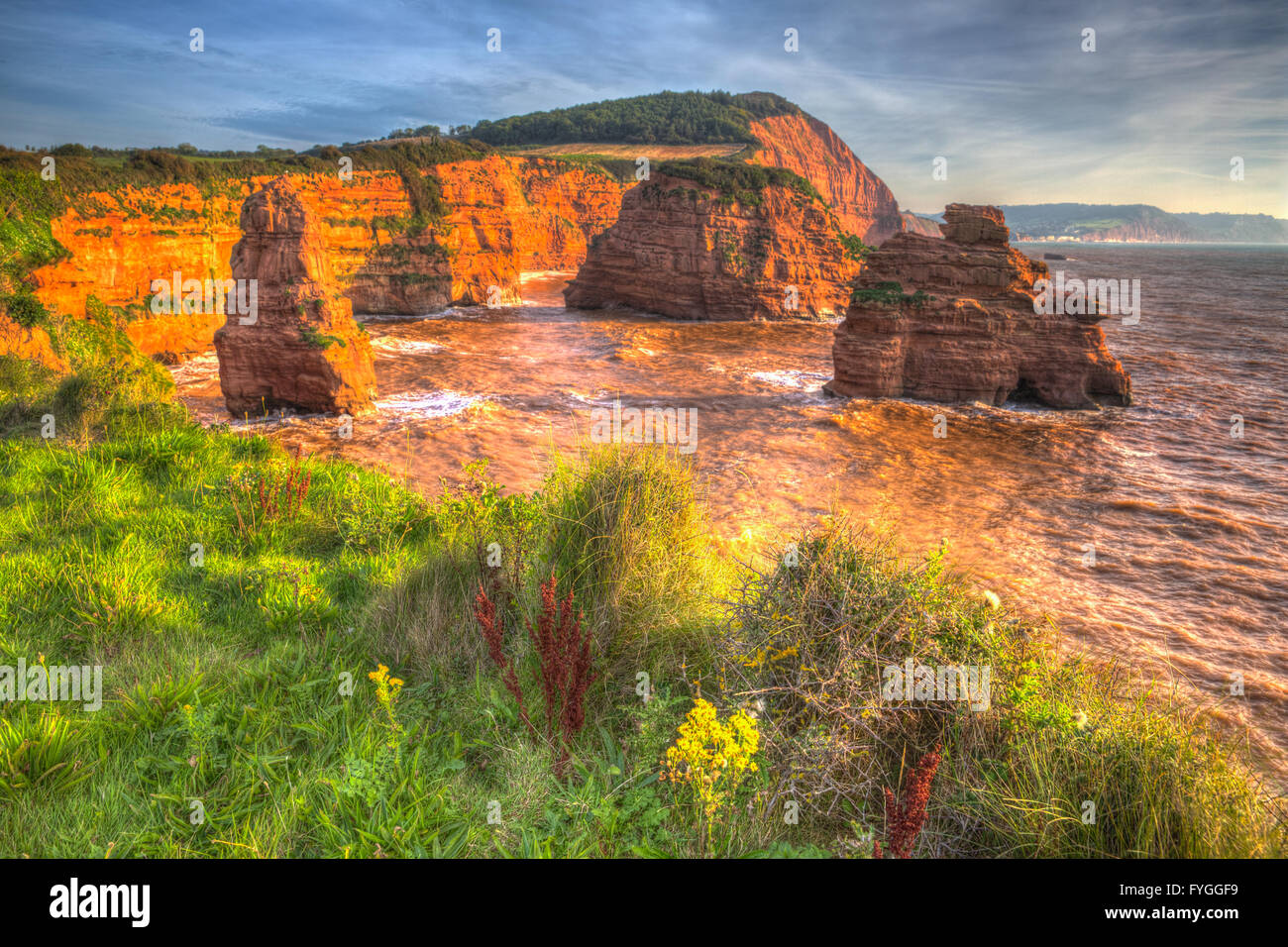 Sandstone rock stacks UK Jurassic coast Ladram Bay Devon England UK ...