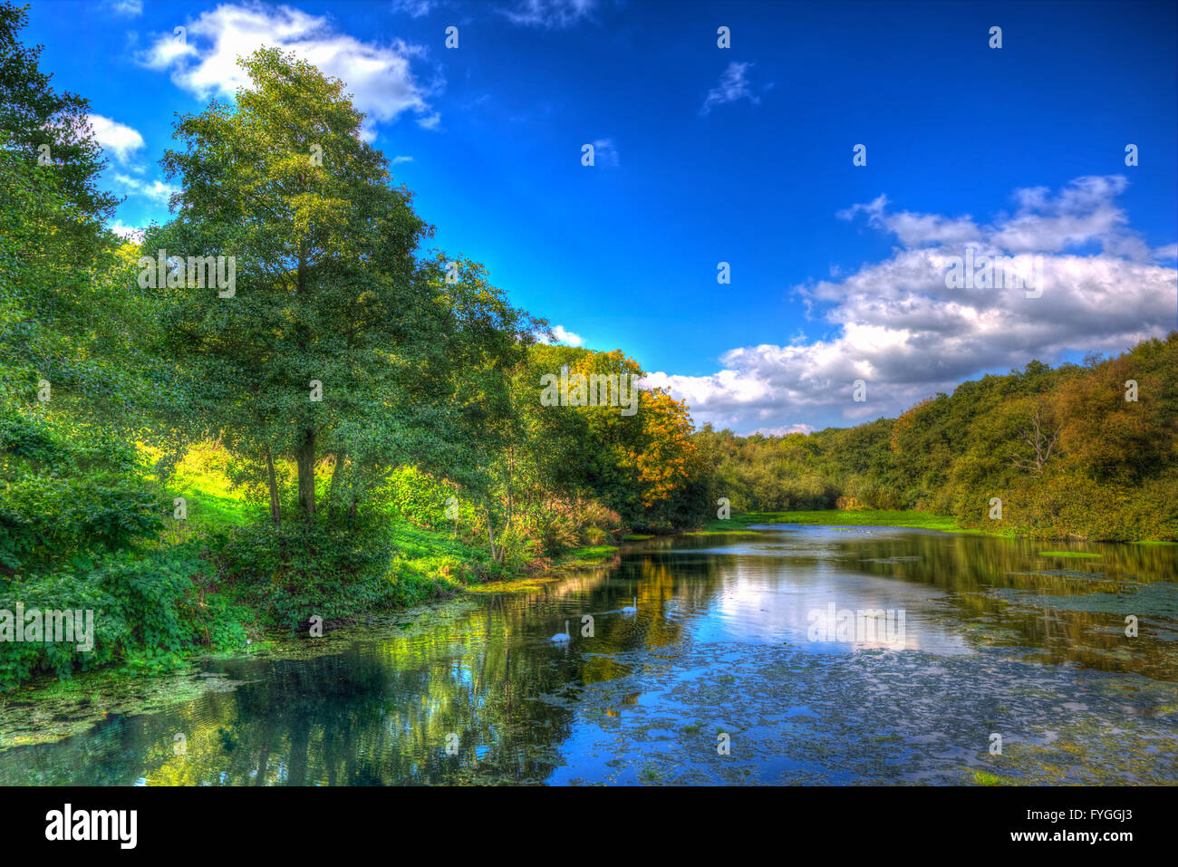 Otterhead Lakes East Devon England uk in the Blackdown Hills Area of ...