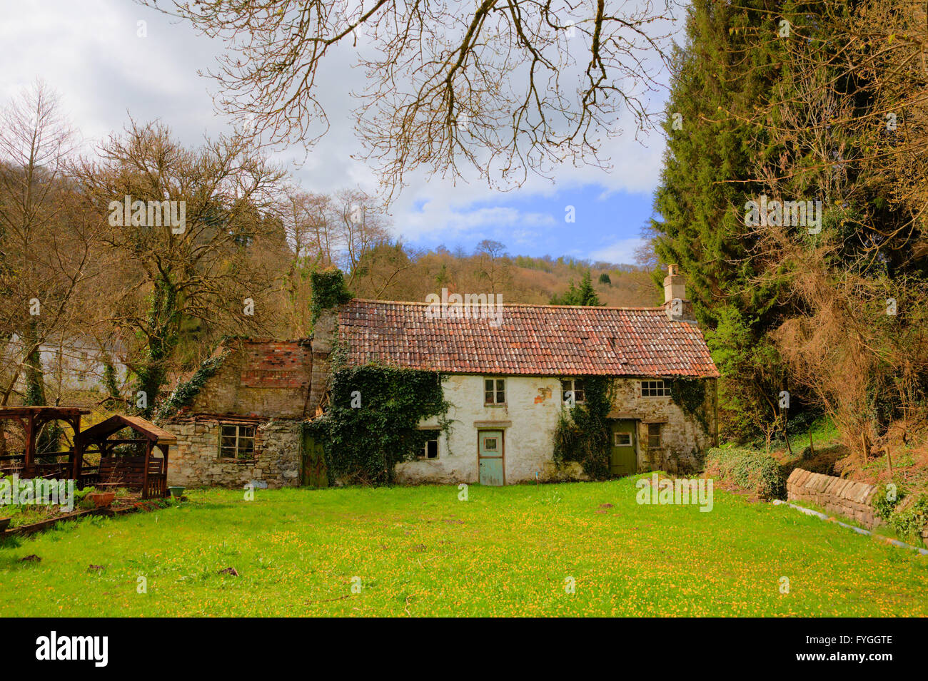Ramshackle derelict rural cottage overgrown with plants and moss and ...