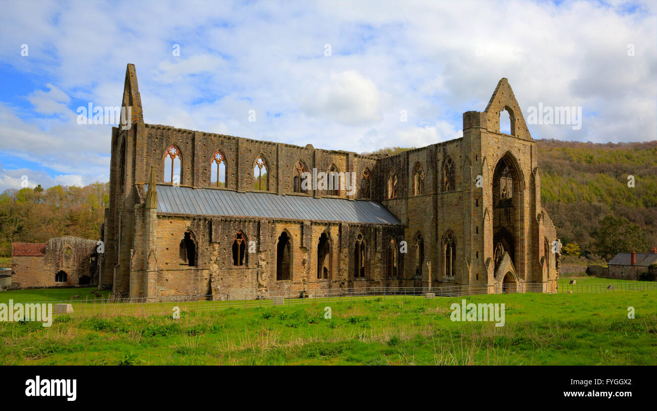 Tintern Abbey Monmouthshire near Chepstow Wales UK ruins of Cistercian ...
