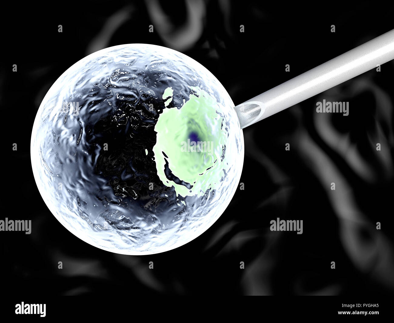Ovulation microscope hi-res stock photography and images - Alamy