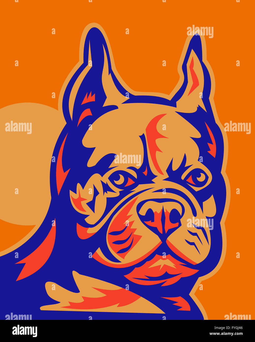 French Bulldog head portrait retro Stock Photo - Alamy
