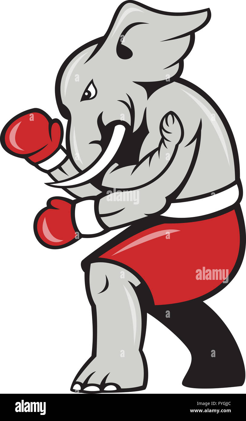 Elephant Boxer Boxing Stance Stock Photo - Alamy