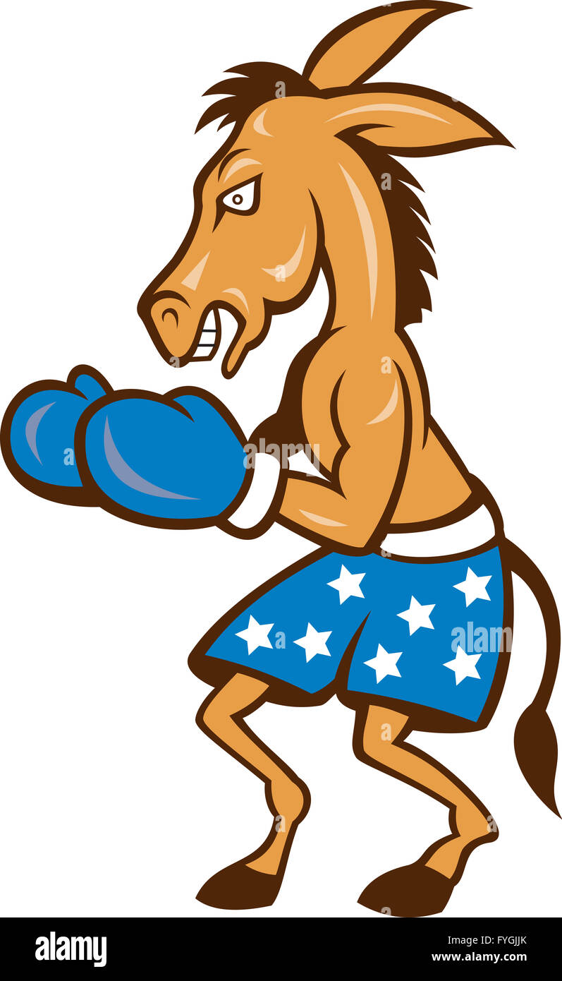 Donkey Jackass Boxing Stance Stock Photo - Alamy
