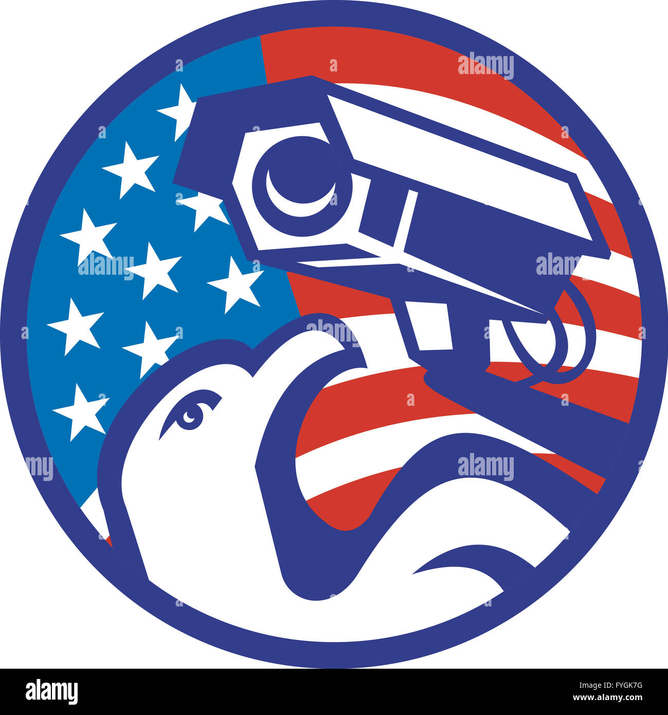 American Bald eagle Security Camera Stock Photo - Alamy