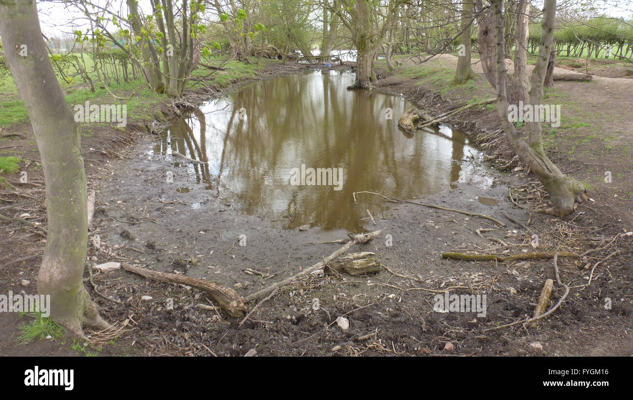 Cheshire Wildlife High Resolution Stock Photography and Images - Alamy