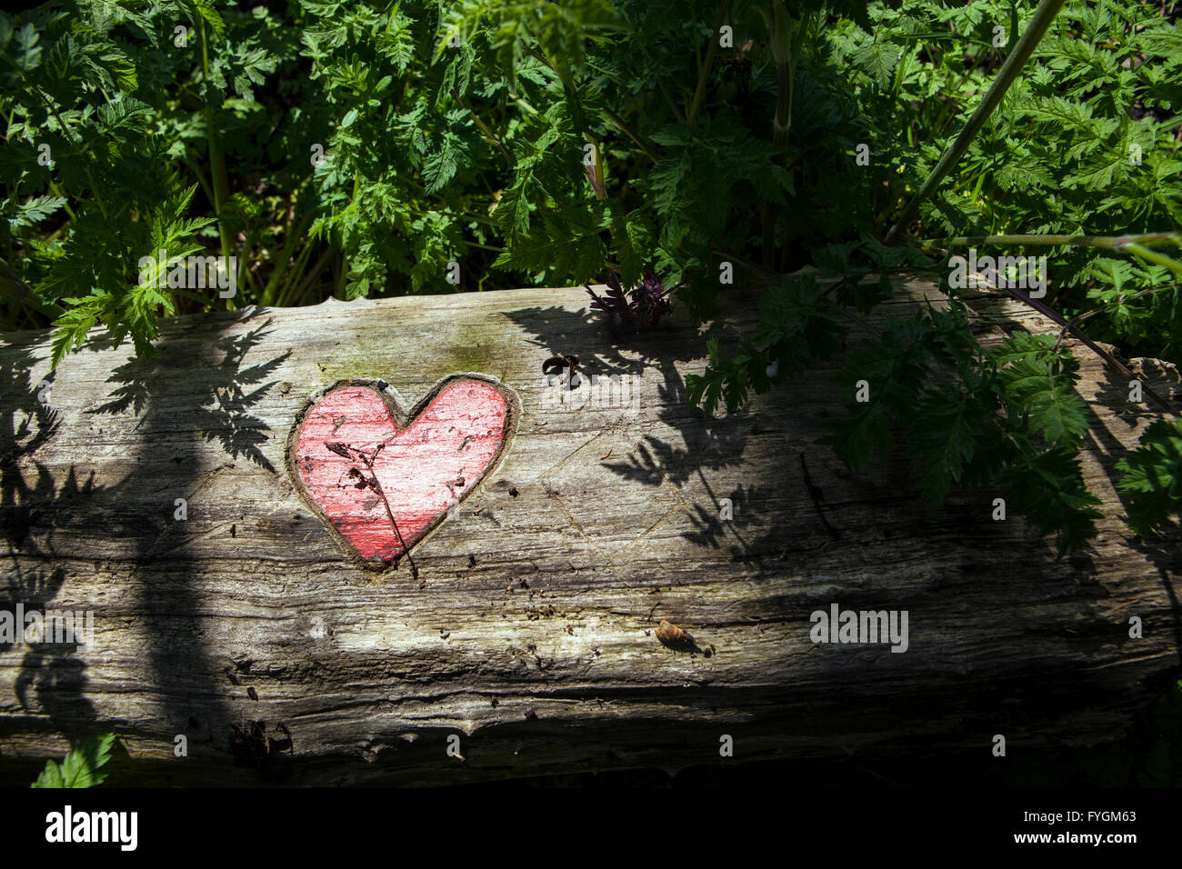 Carved log hi-res stock photography and images - Alamy