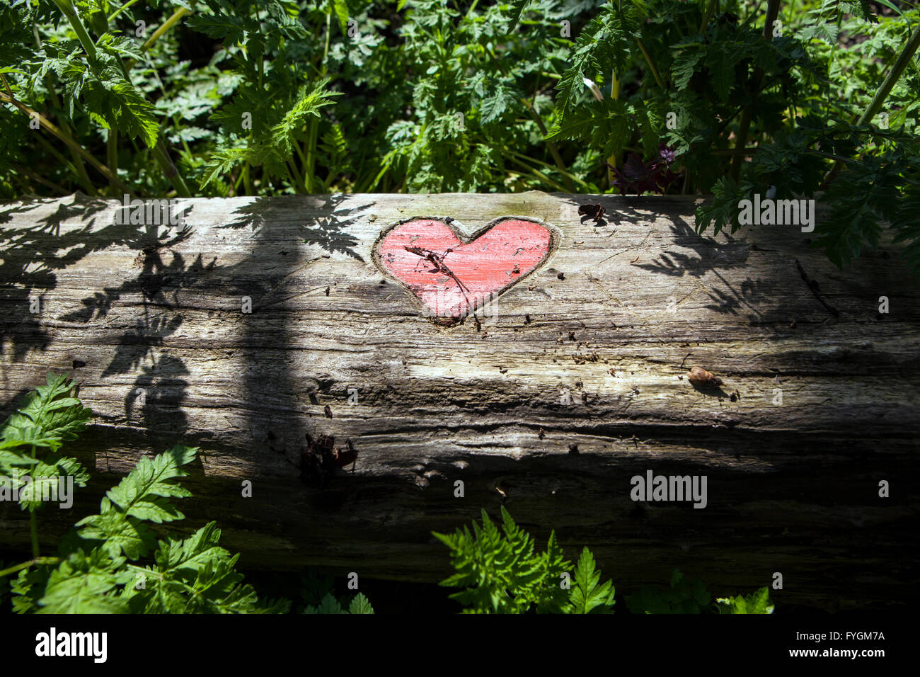 Log carving hi-res stock photography and images - Alamy