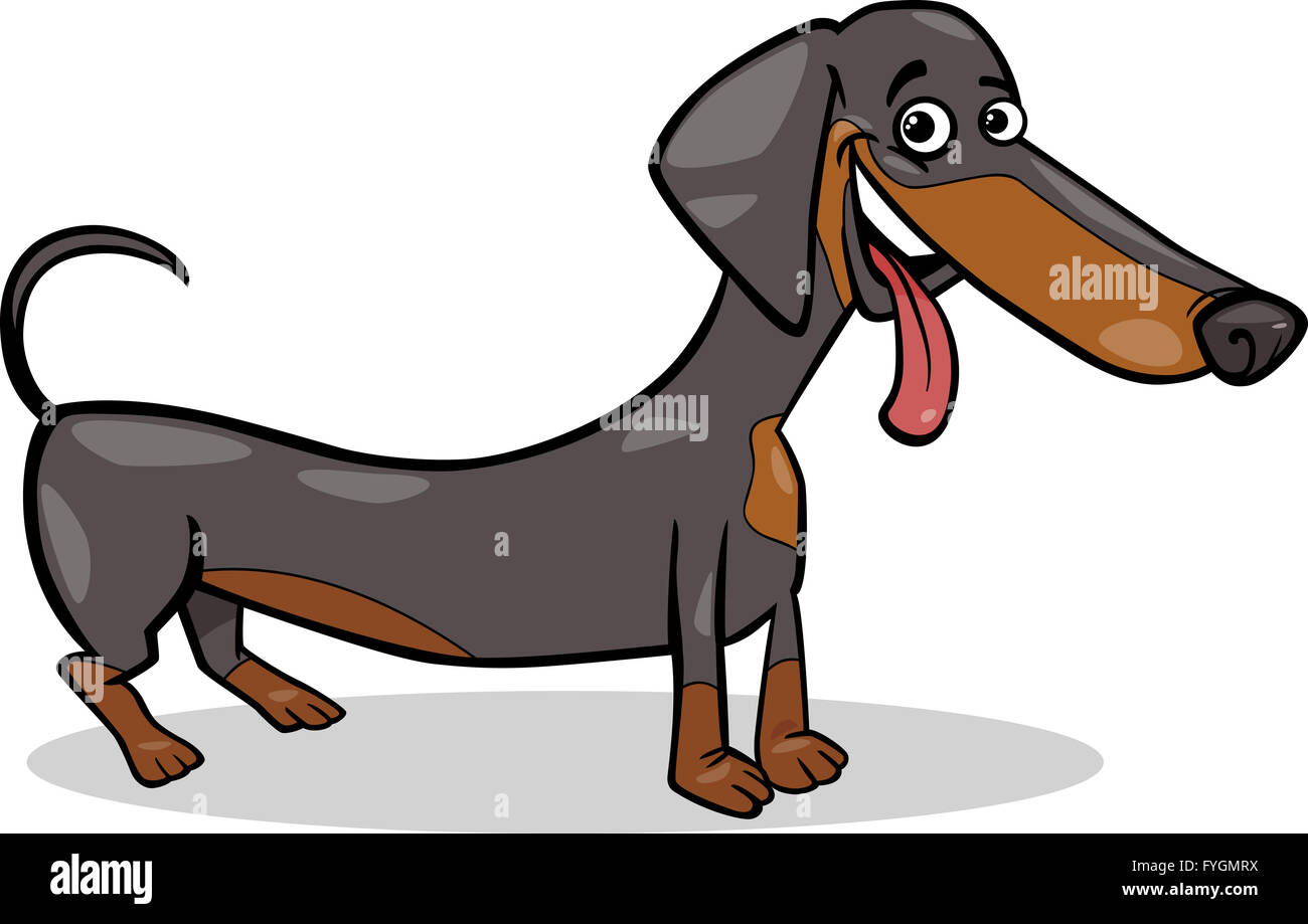 dachshund dog cartoon illustration Stock Photo - Alamy