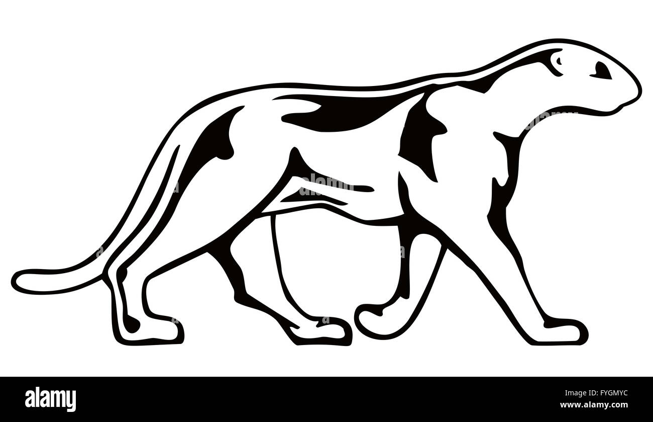 Panther view Cut Out Stock Images & Pictures - Alamy