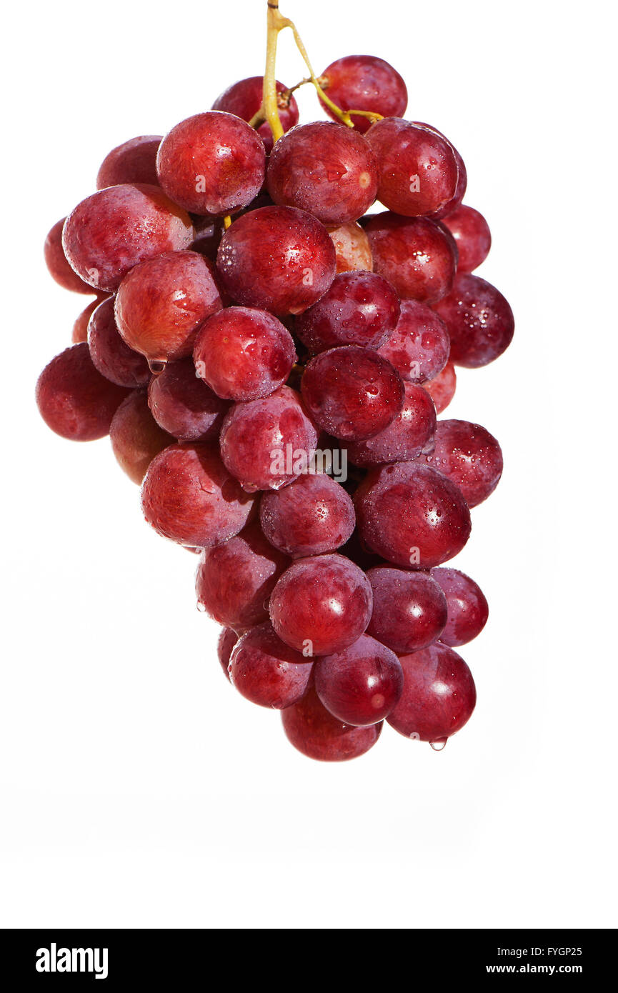 One red grape bunch white hi-res stock photography and images - Alamy