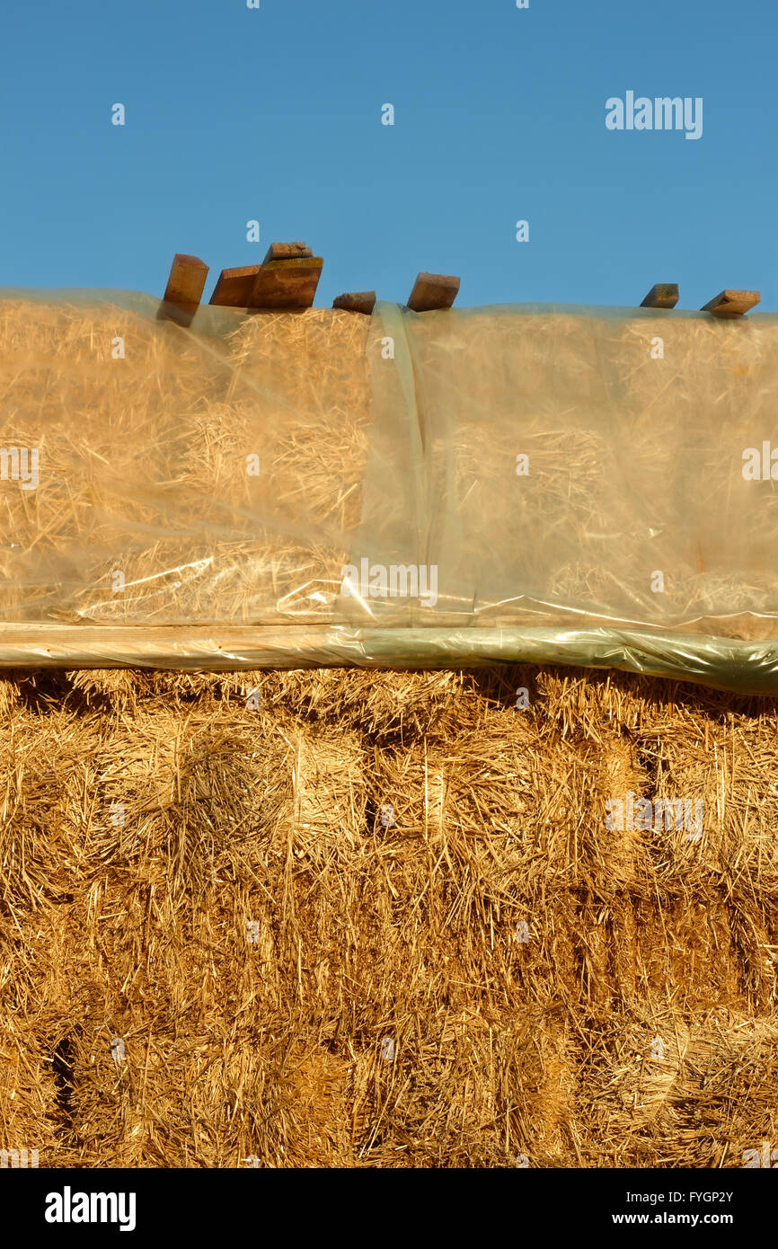 Straw pile covered with plastic film Stock Photo - Alamy