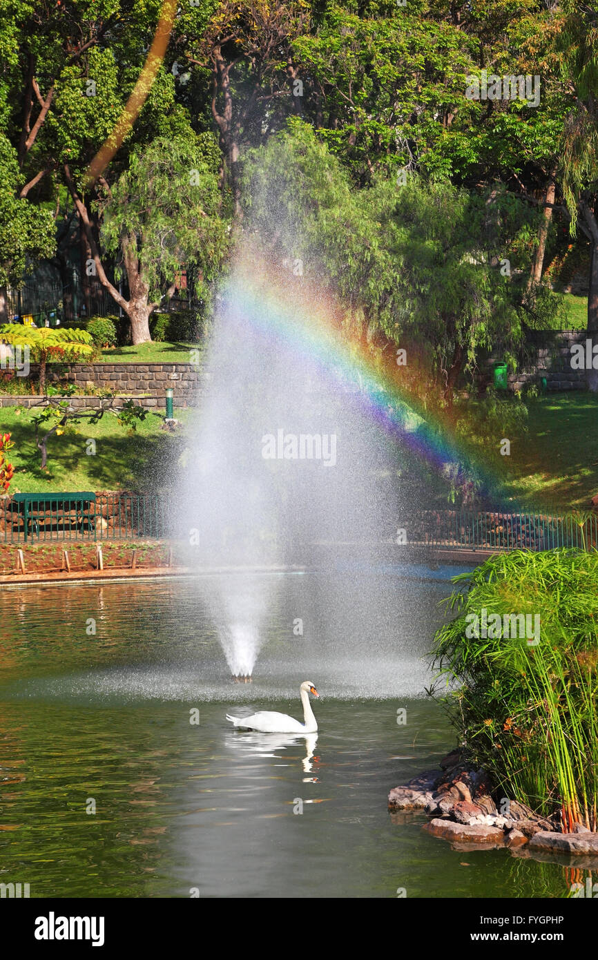 At the water fountain jets shining magnificent rainbow Stock Photo - Alamy